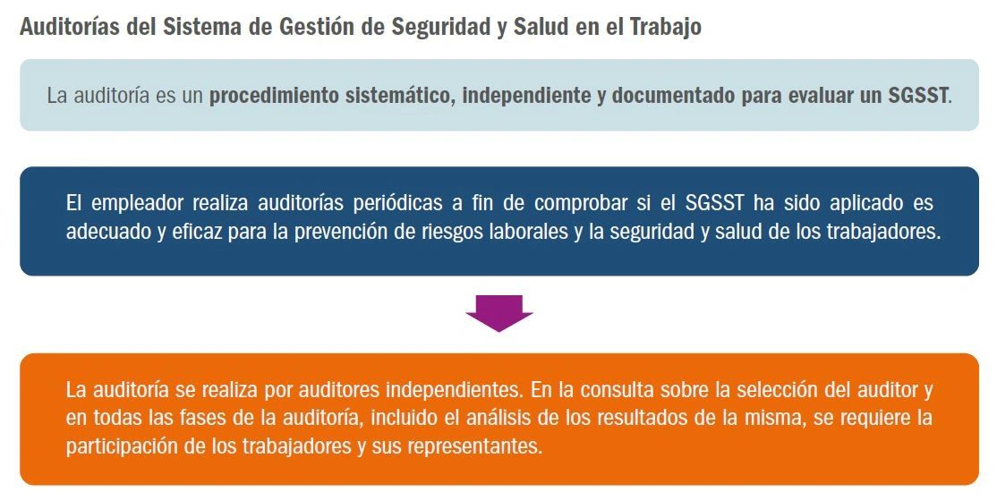 LEY 29783: AUDITORIAS DE SEGURIDAD Y SALUD EN EL TRABAJO